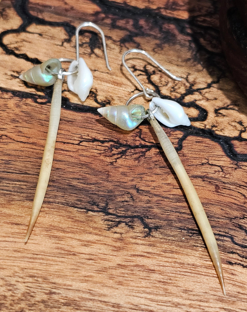 Echidna Quill & Shell Earrings - Takamunarrala Designs – The Spotted Quoll